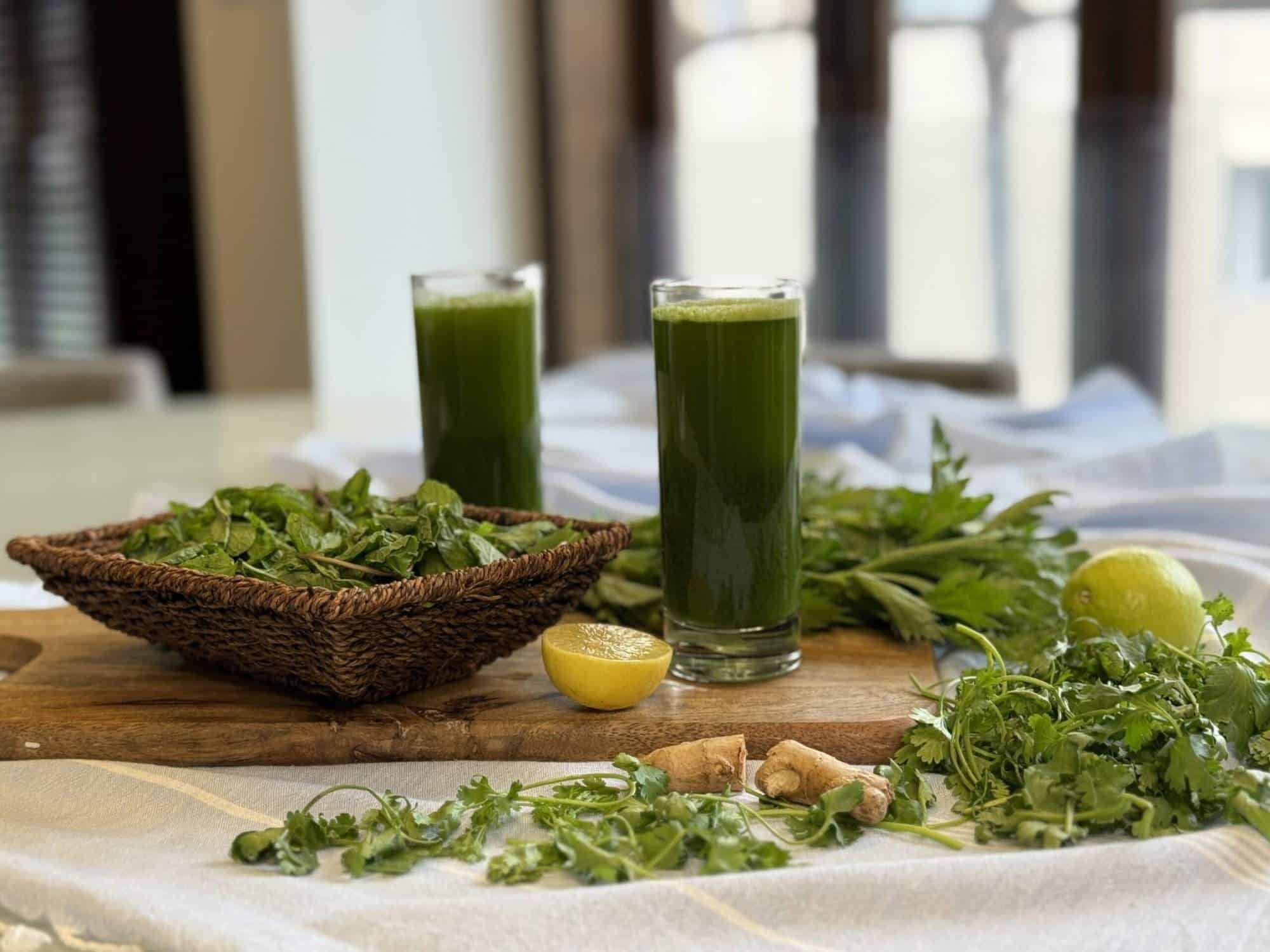 Green Elixir - Madhavi Shilpi